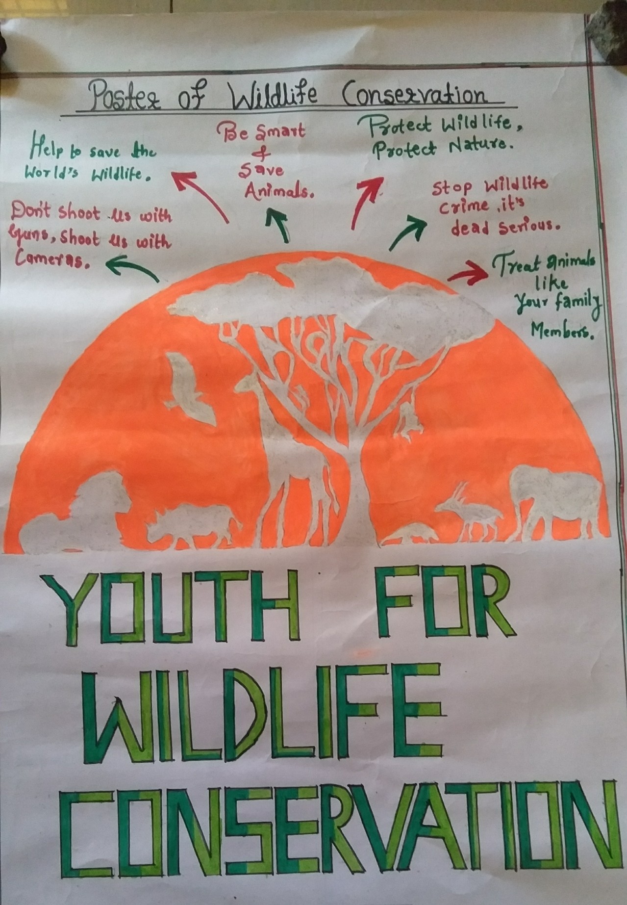 Poster of wildlife conservation – India NCC