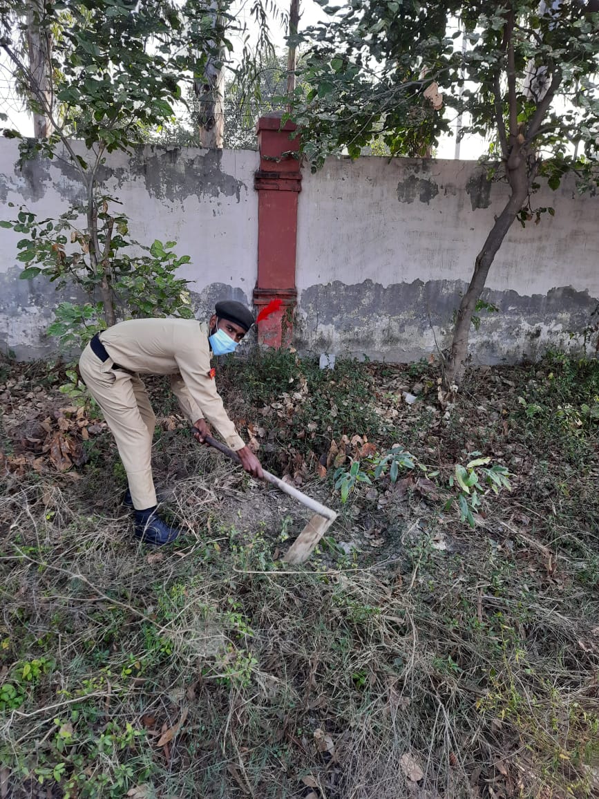 Save tree – India NCC