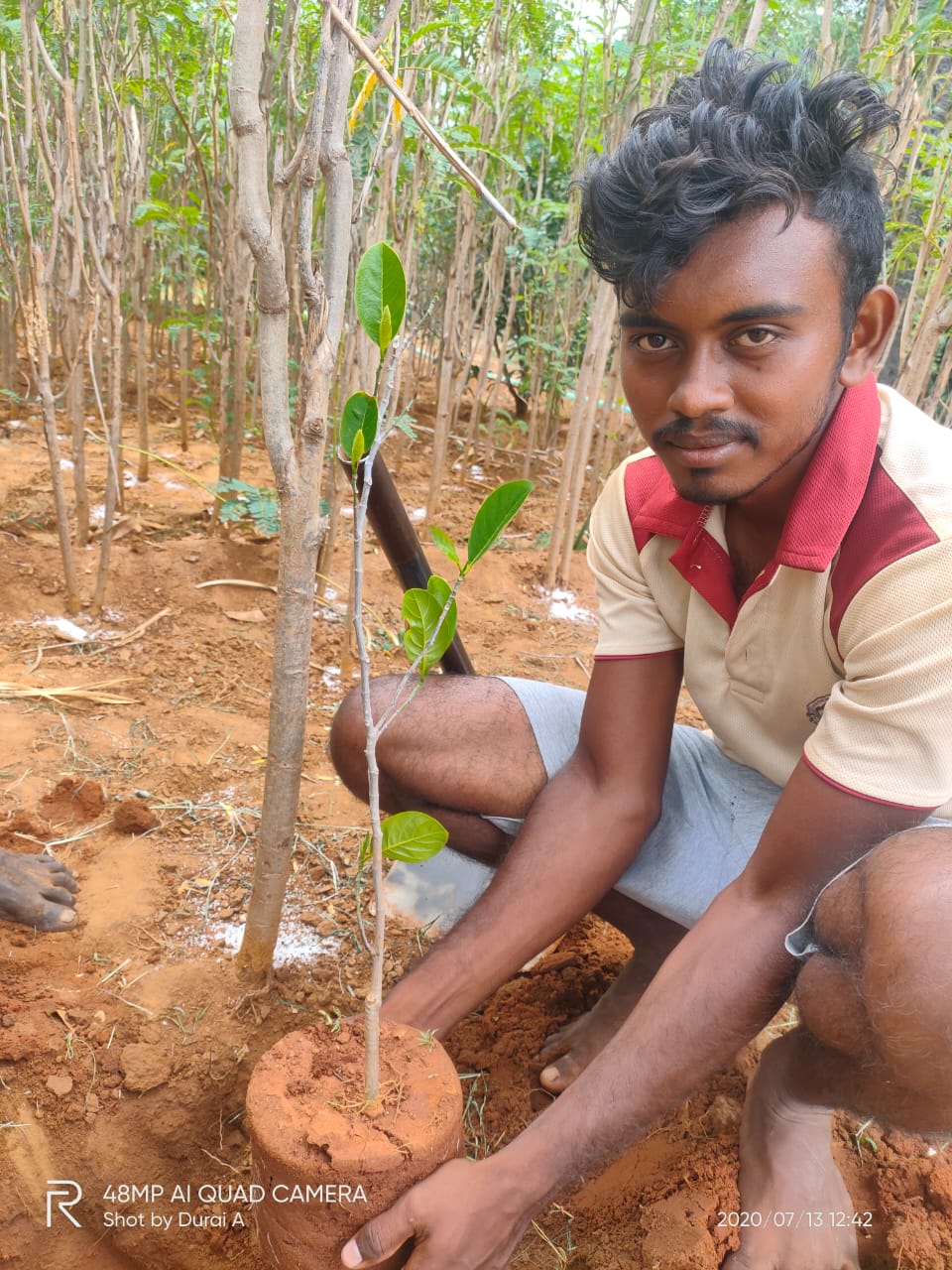 Tree plantation – India NCC