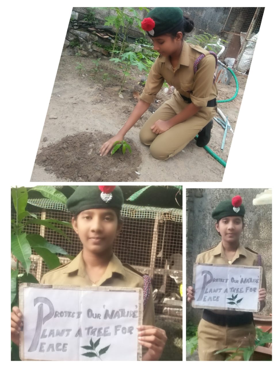 TREE PLANTATION (PLANTING TREE AND POSTER) – India NCC
