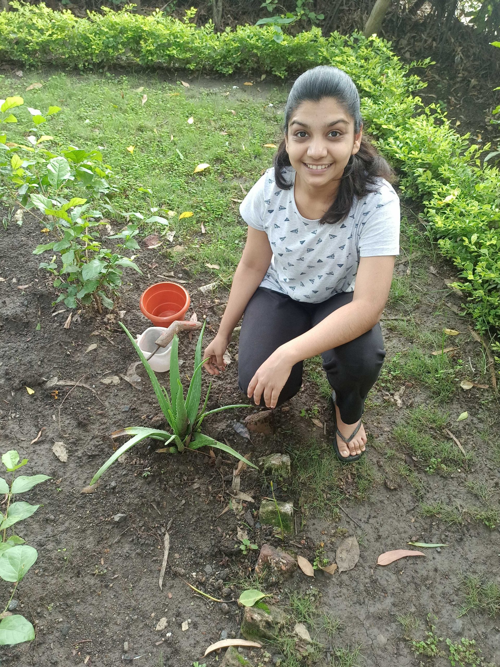 Tree plantation – India NCC