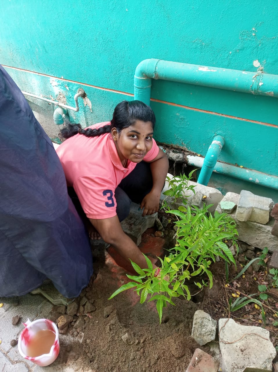 Tree planting – India NCC