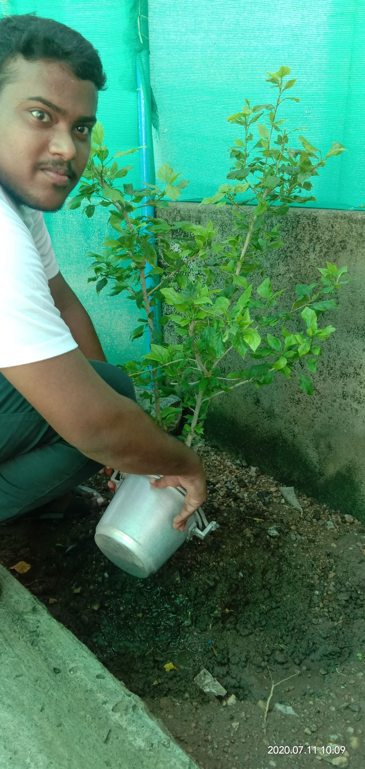 TREE PLANTATION – India NCC