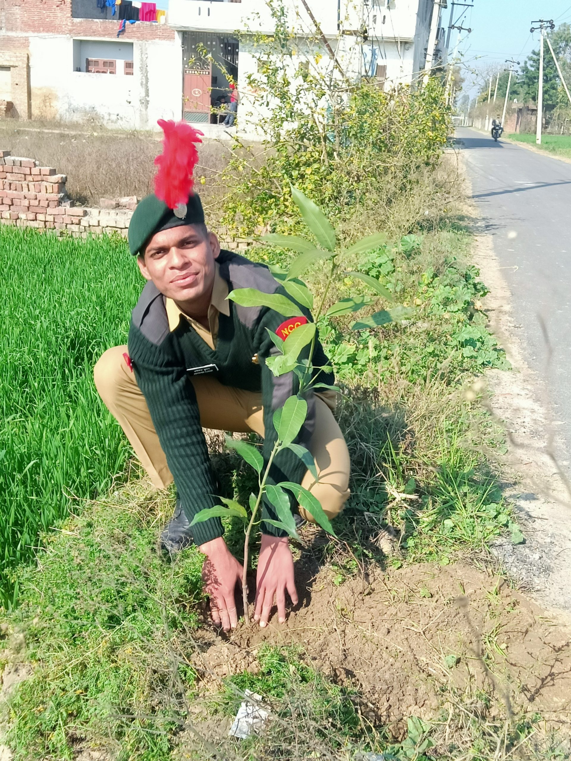 Plantation – India NCC