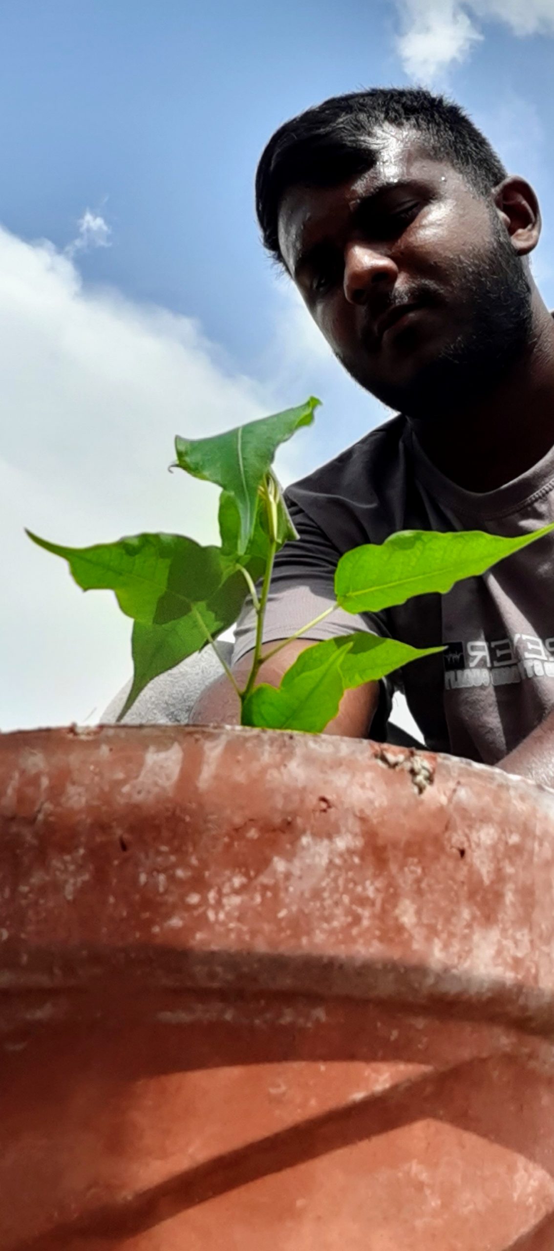 Tree Plantation – India NCC