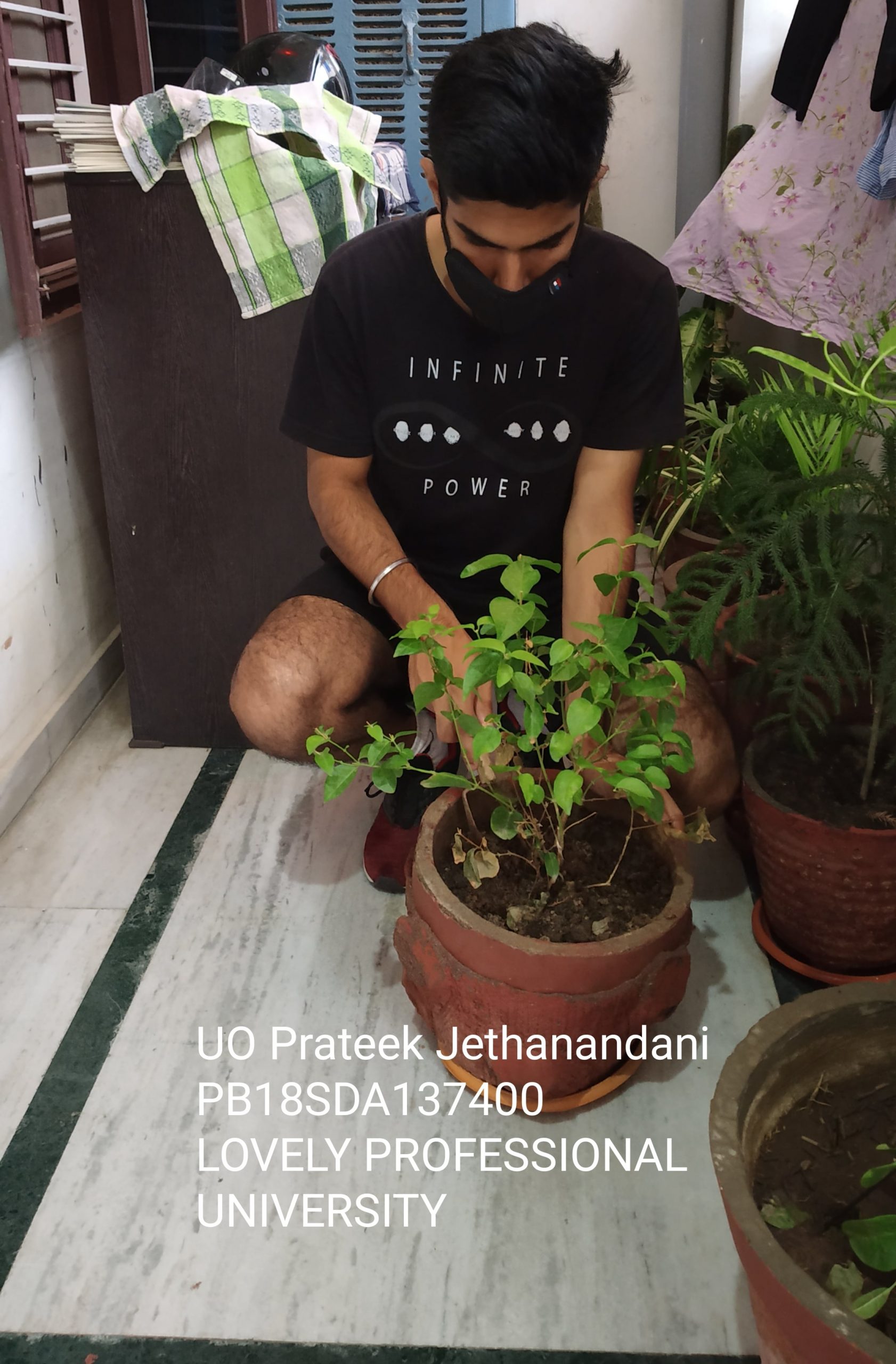 Tree plantation – India NCC