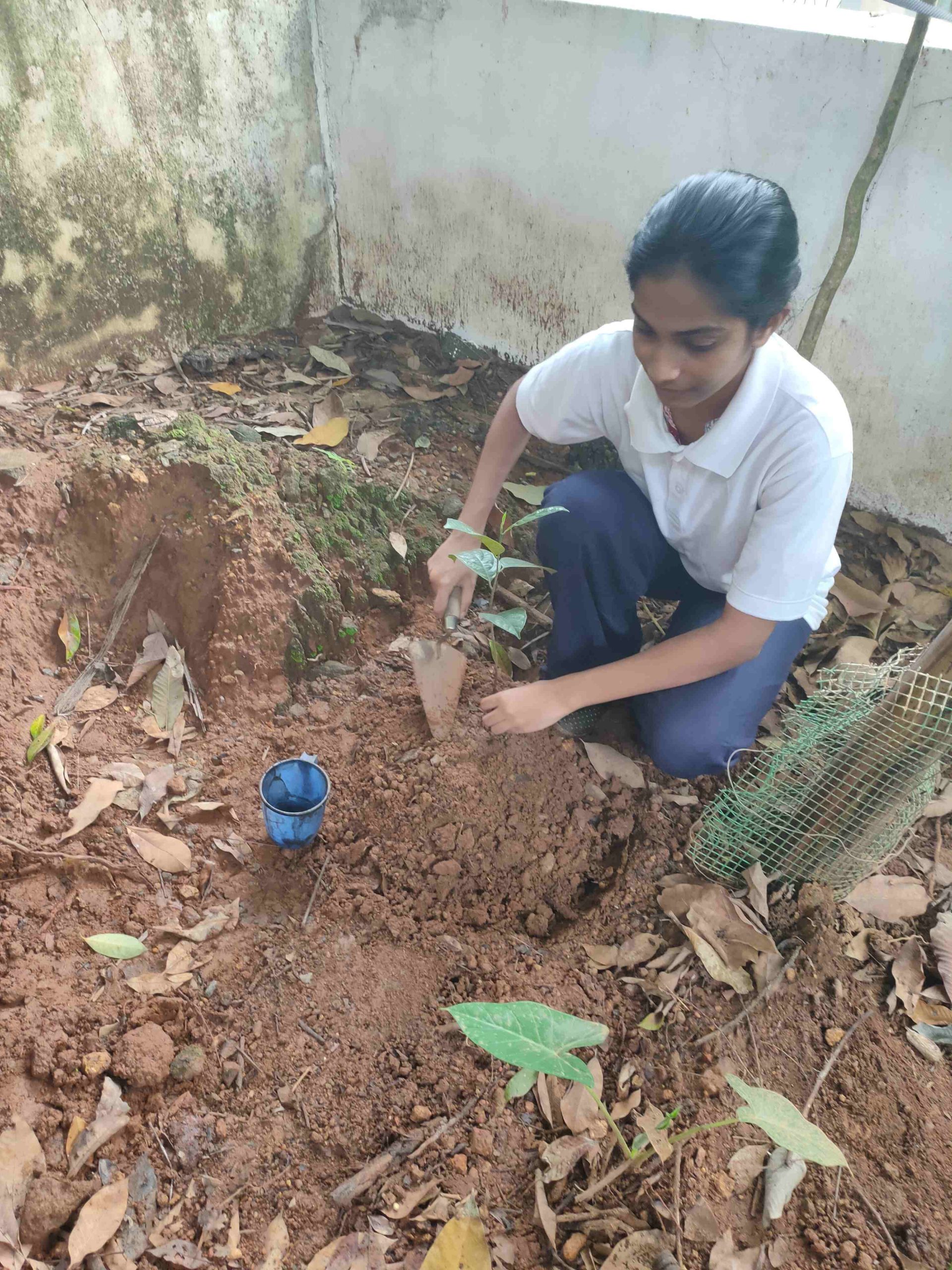 WORLD ENVIRONMENT DAY CELEBRATIONS – India NCC
