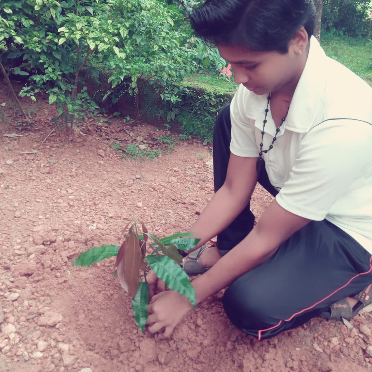 Ncc activity – India NCC