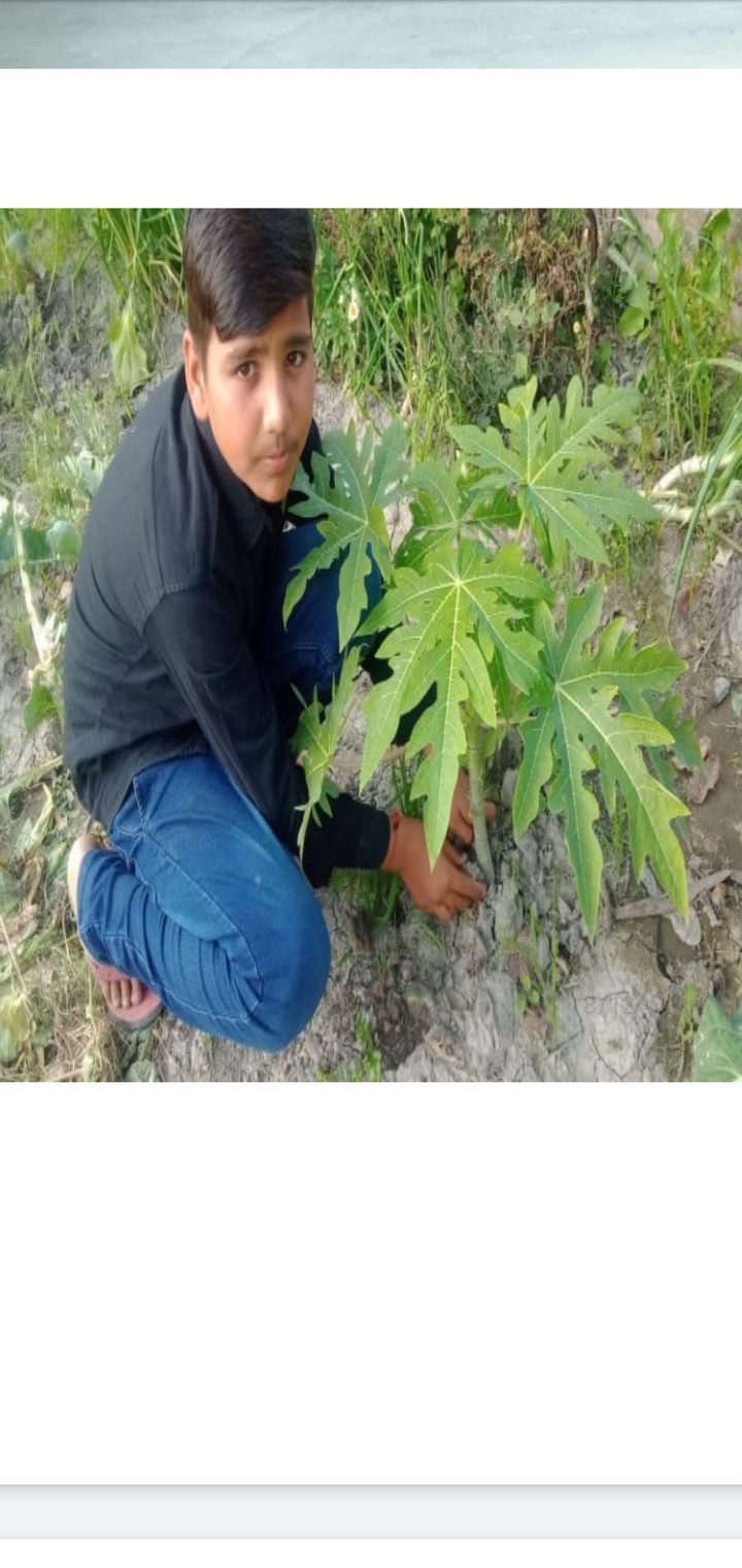 Tree plantation activity – India NCC