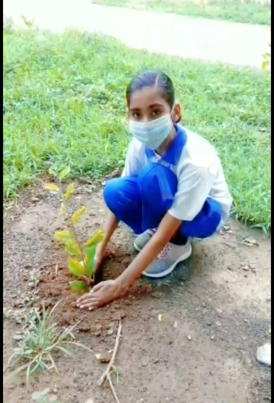 Tree Plantation – India NCC