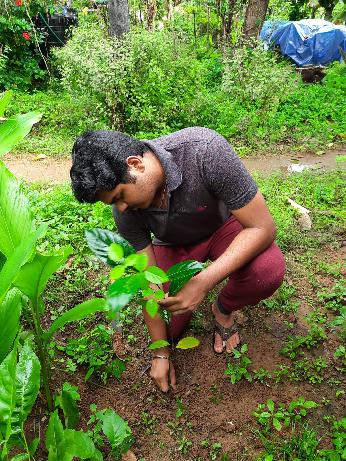 Planting a tree – India NCC