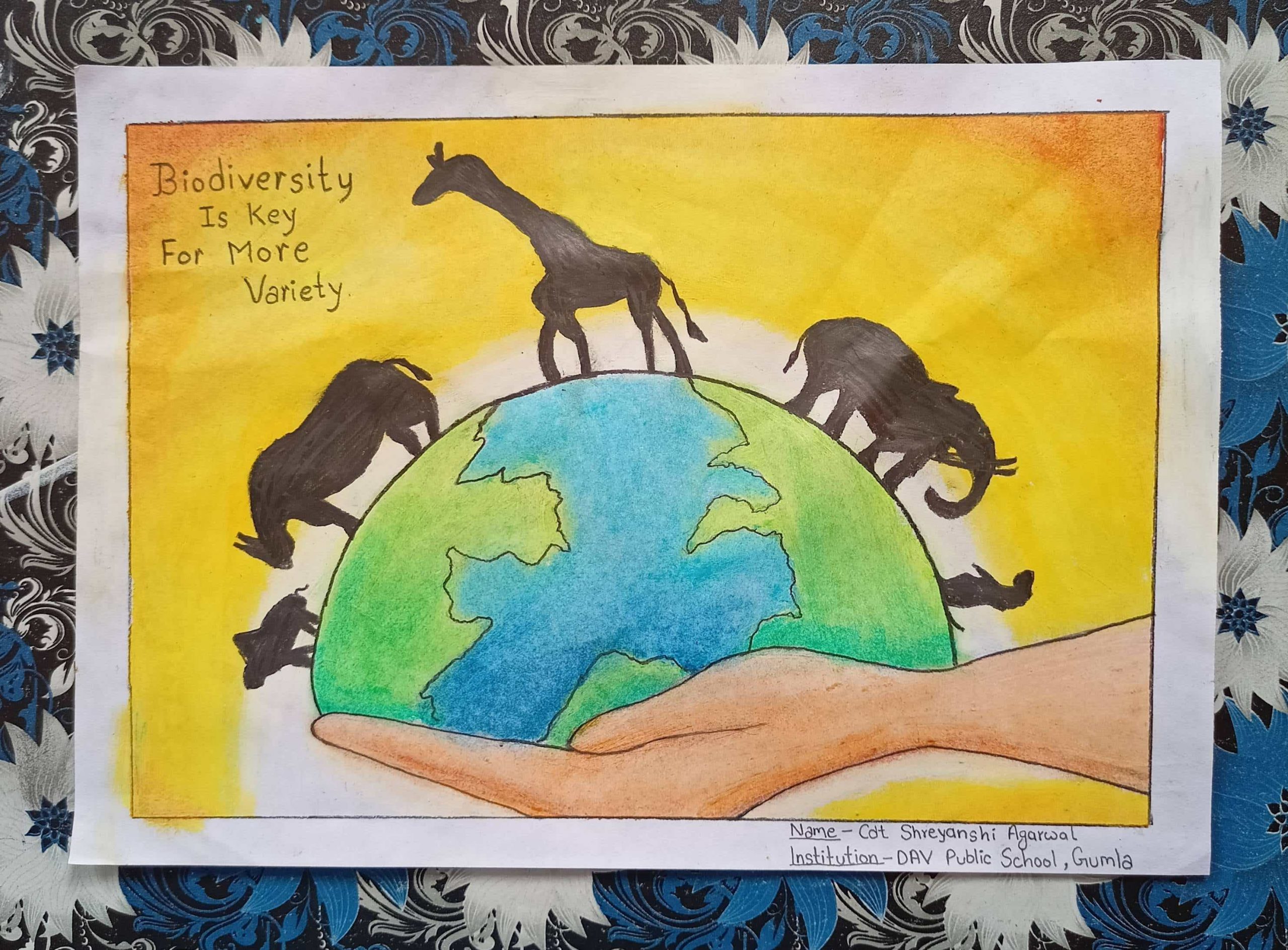 Biodiversity Poster Making