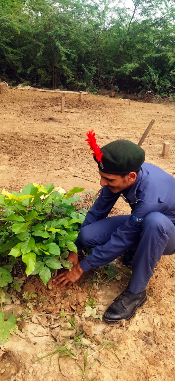 Tree planting – India NCC