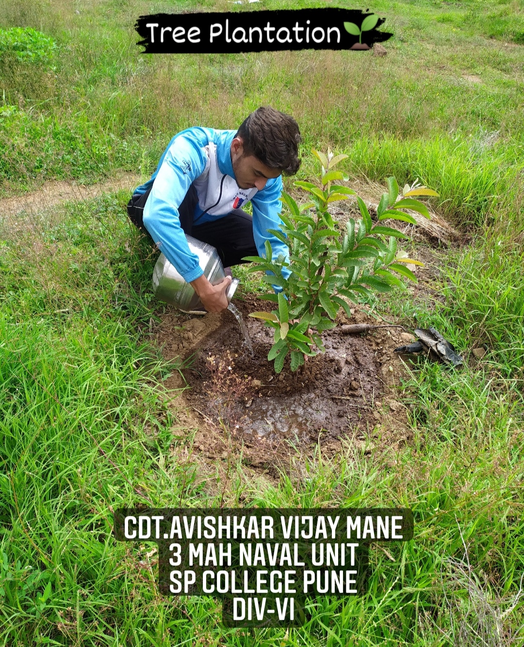 Tree Plantation – India NCC