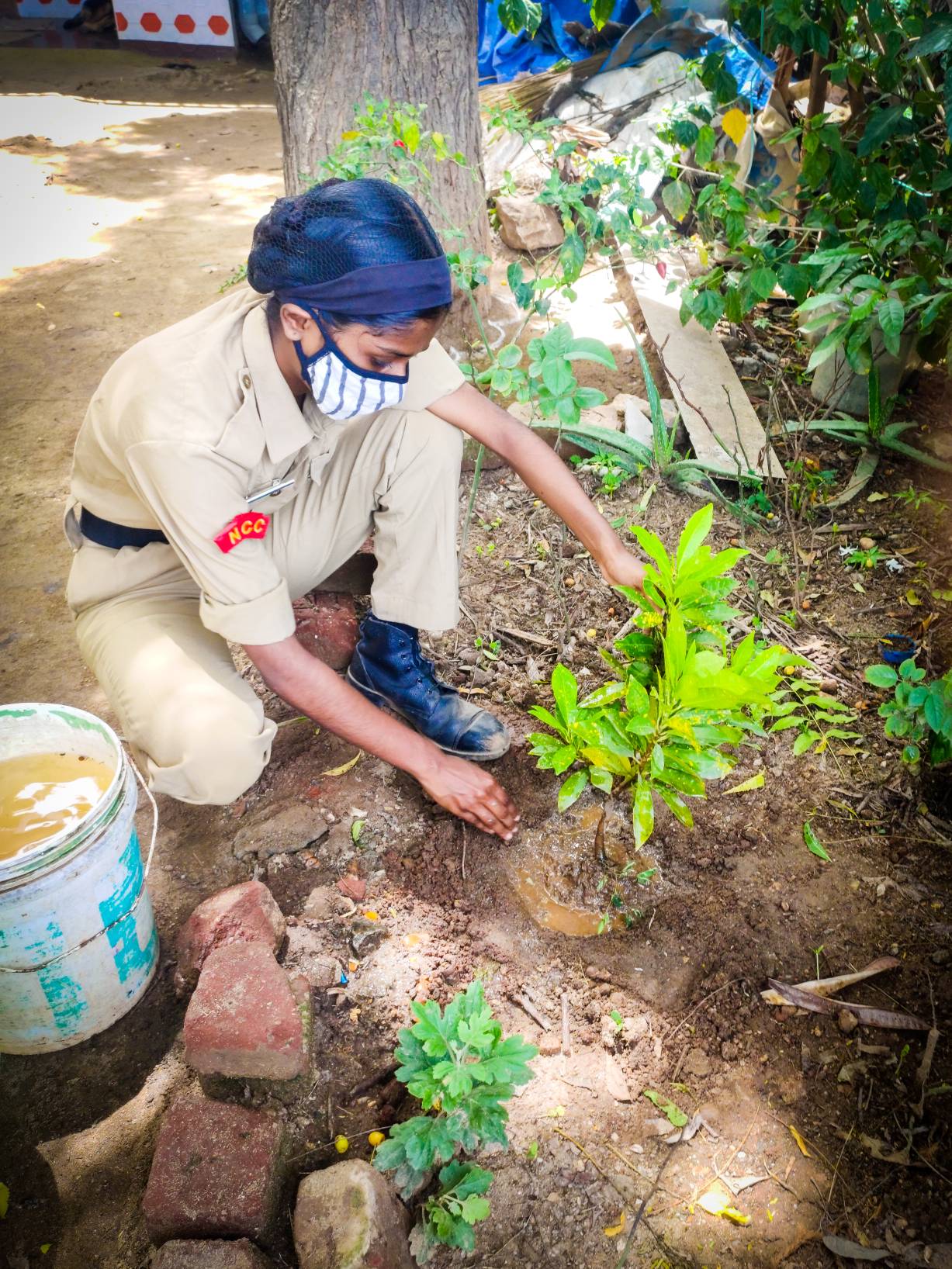 Tree plantation – India NCC