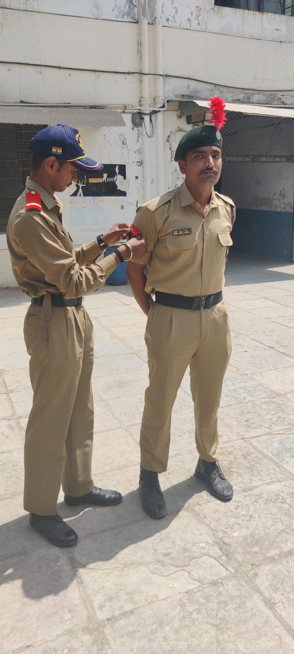 Rank distribution – India NCC