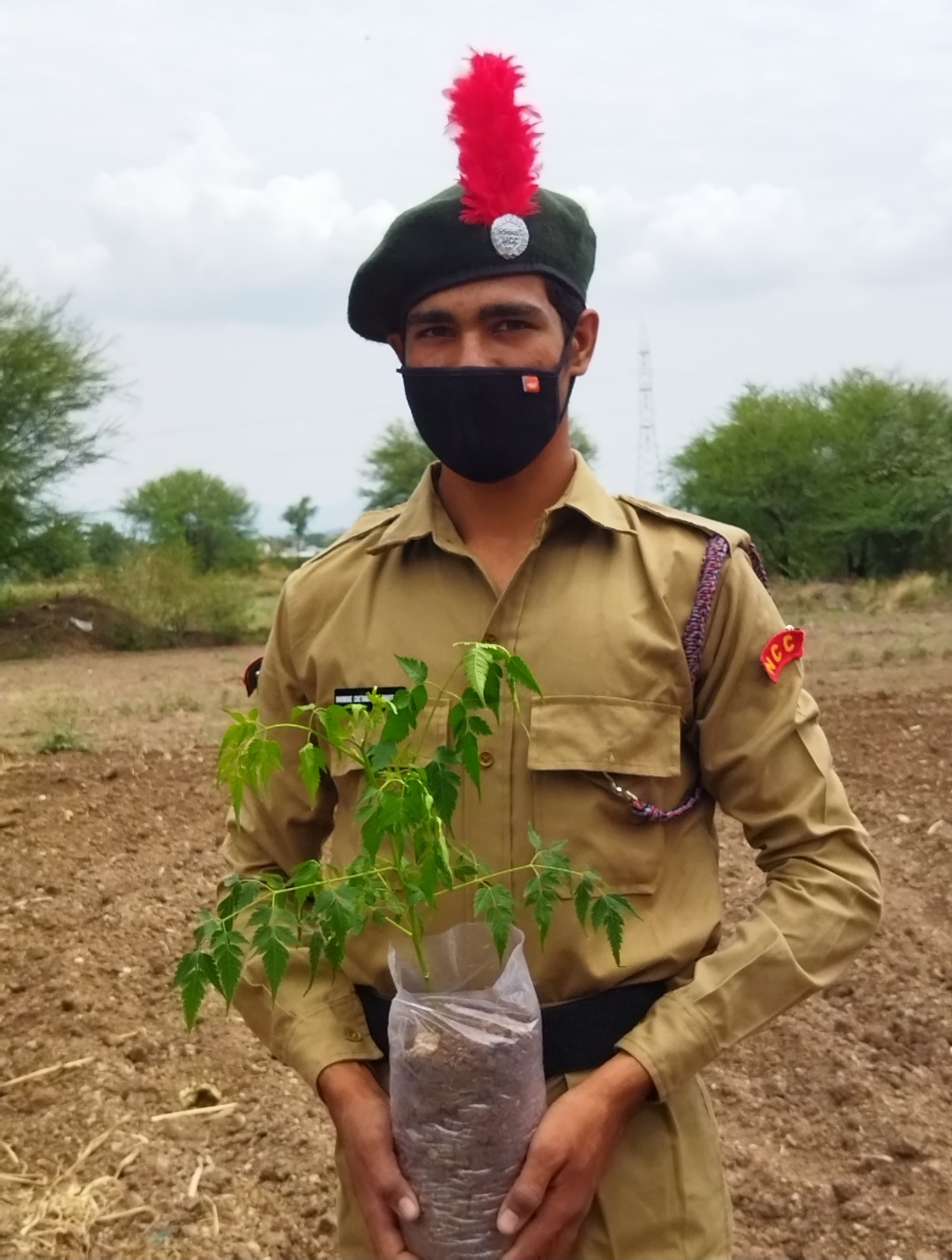Tree plantation – India NCC
