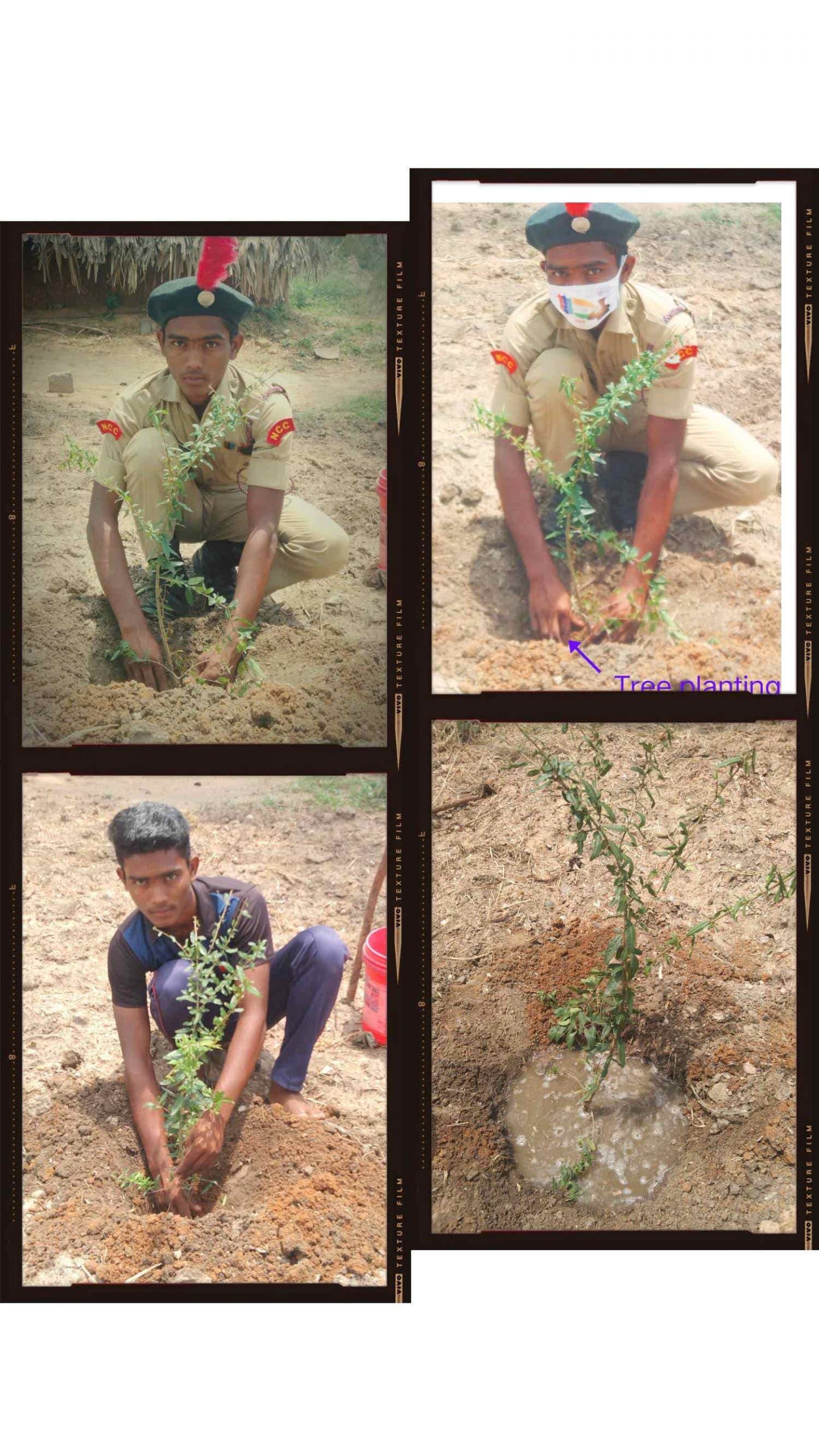Tree plantation – India NCC