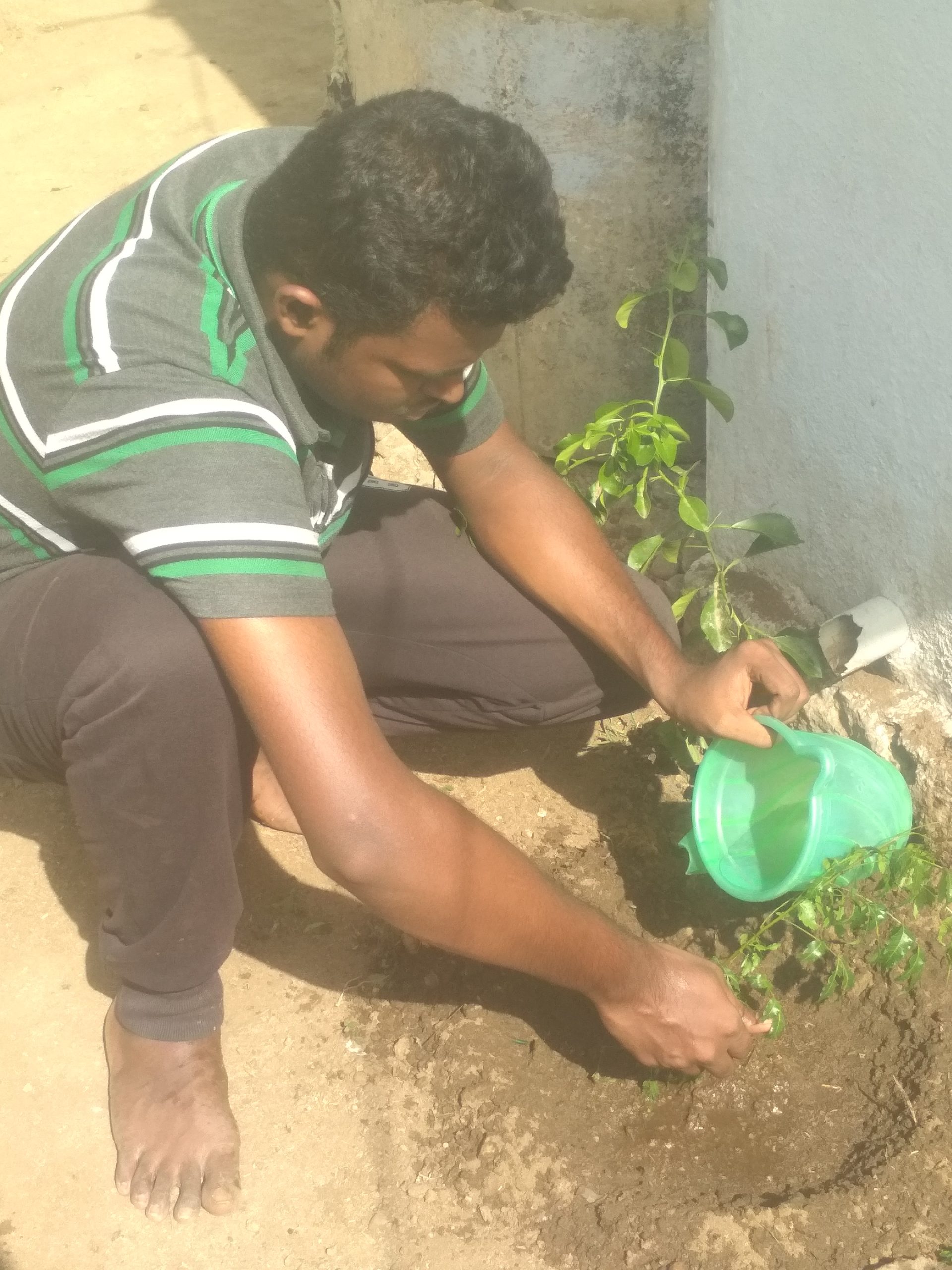 Tree plantation – India NCC