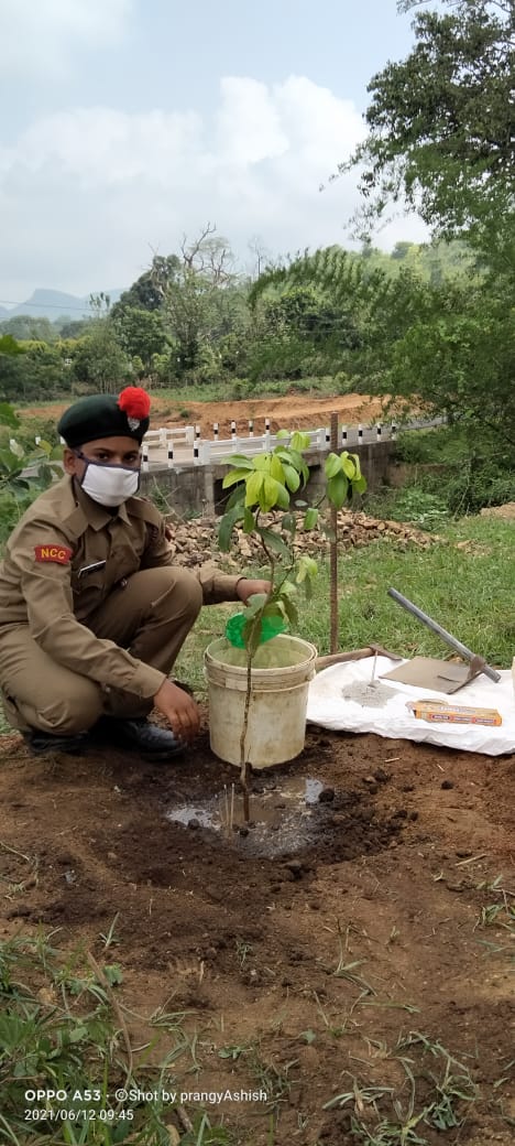 Tree plantation day – India NCC