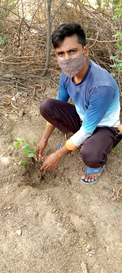 PLANTING TREES – India NCC