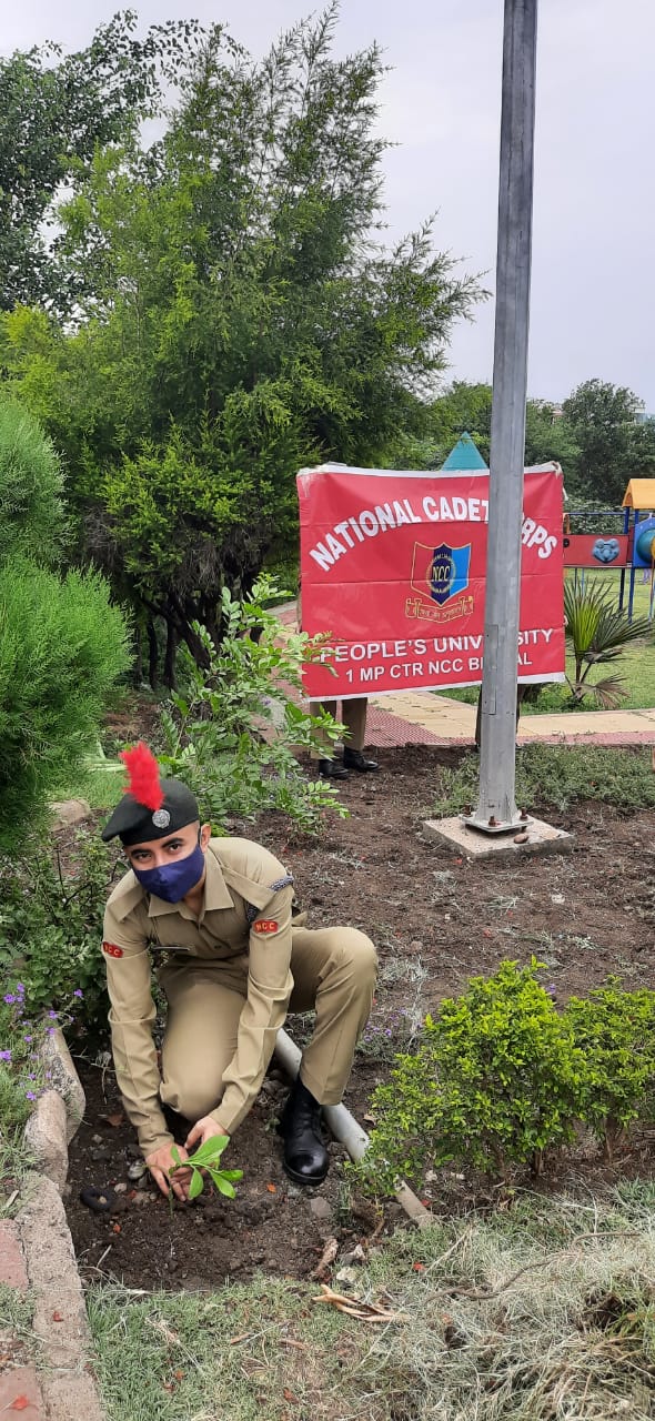 World Environment Day? Tree plantation – India NCC