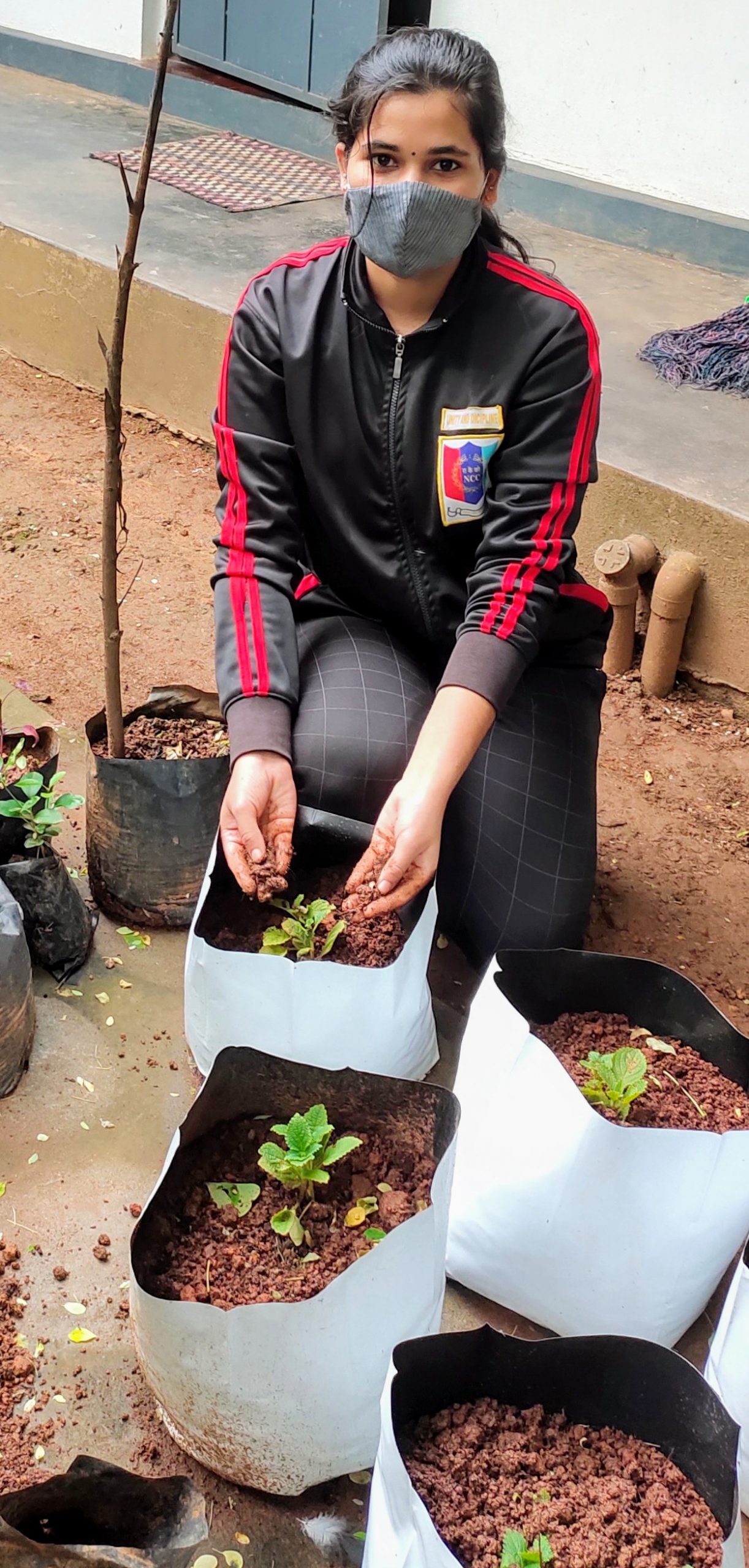 Tree plantation – India NCC