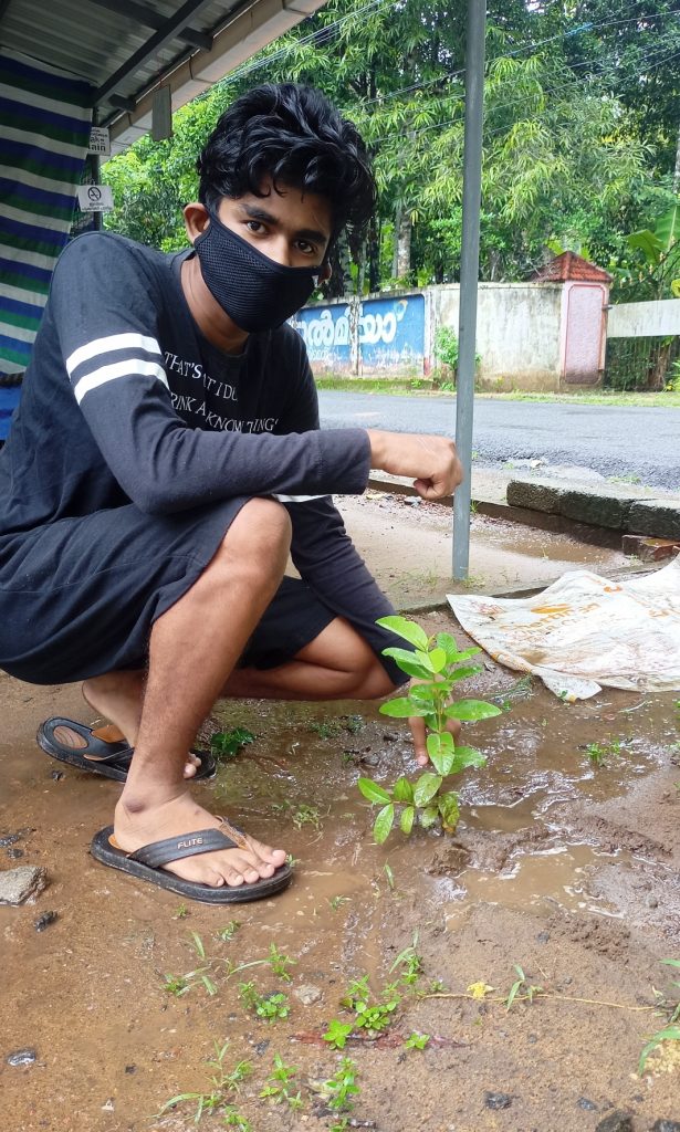 Plant aTree – India NCC