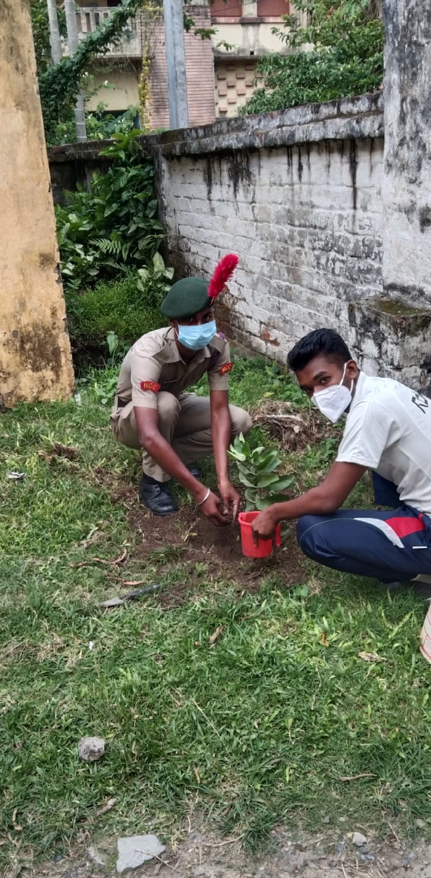 Tree plantation – India NCC
