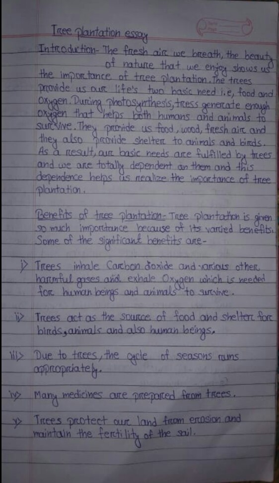 Tree plantation – India NCC