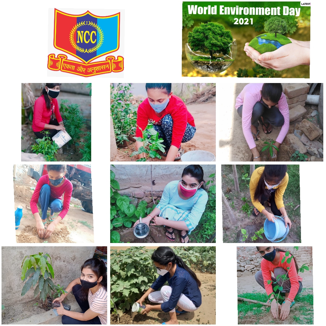 Celebrating world environment day – India NCC