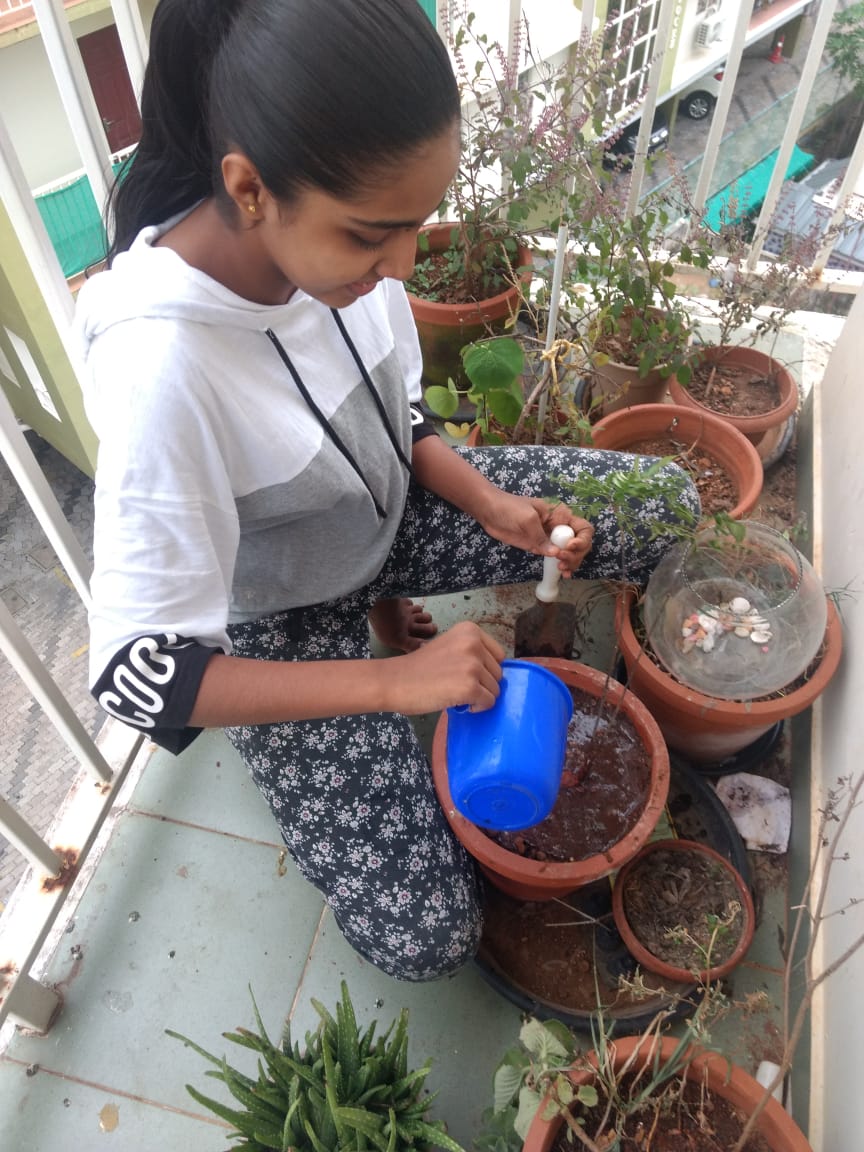 Planting a Sapling – India NCC