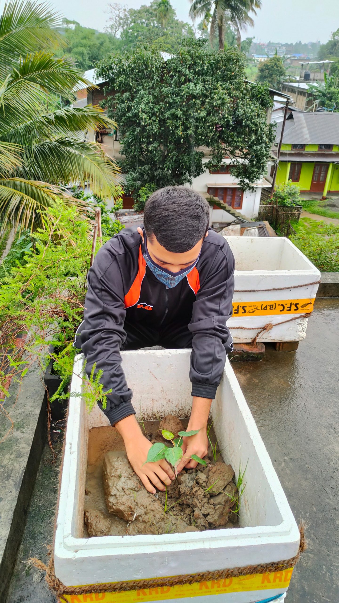 World Environment Day Tree plantation – India NCC