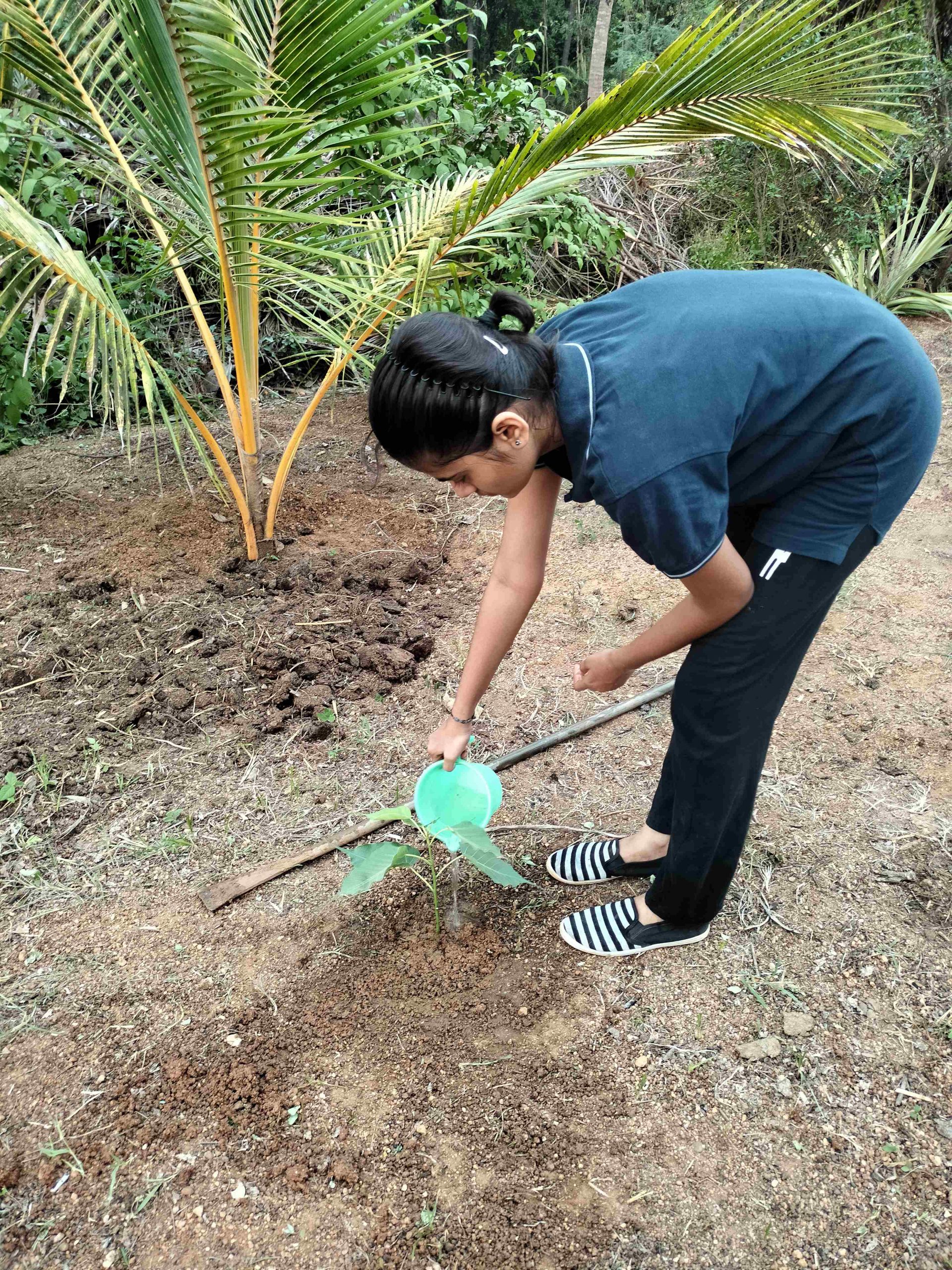 TREE PLANTATION – India NCC