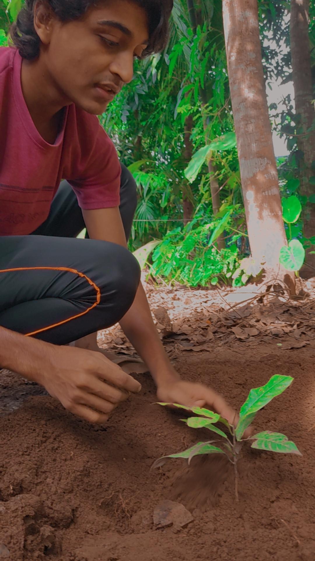 Environment day – India NCC