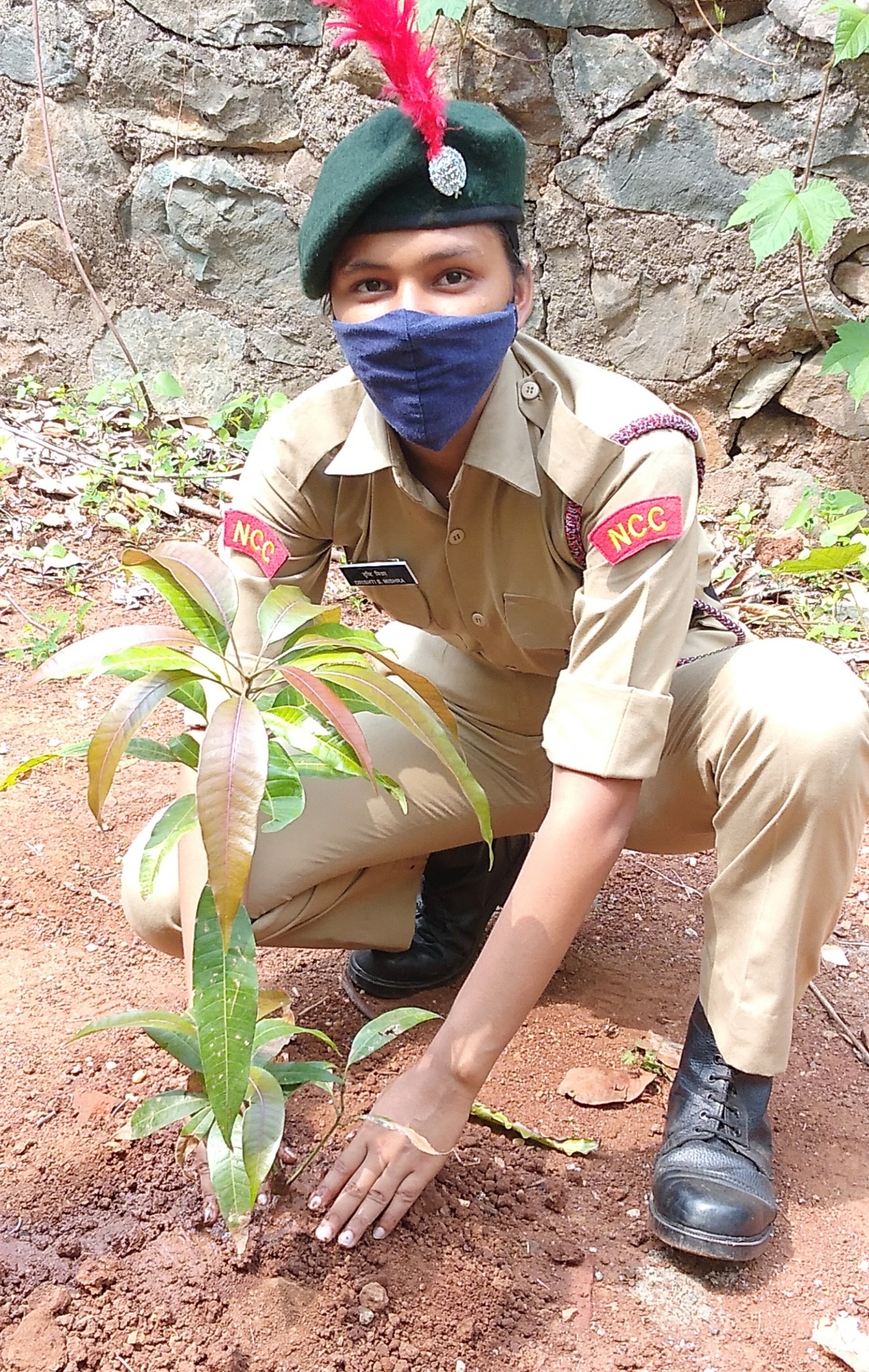 Tree plantation – India NCC
