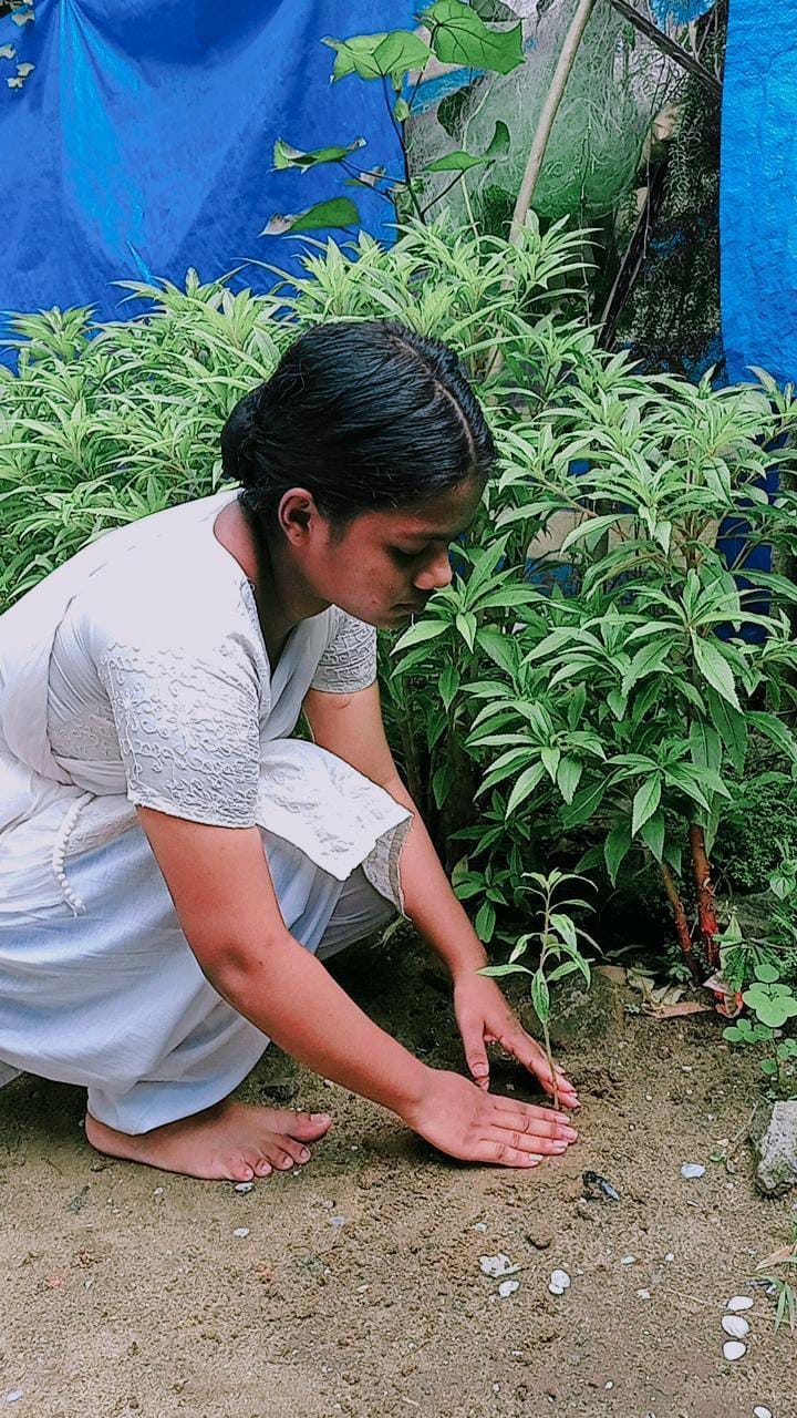 Planting sapling – India NCC