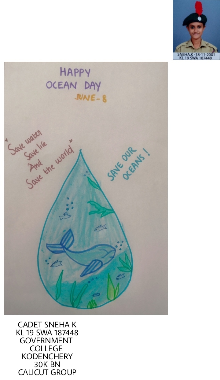 Poster making – India NCC