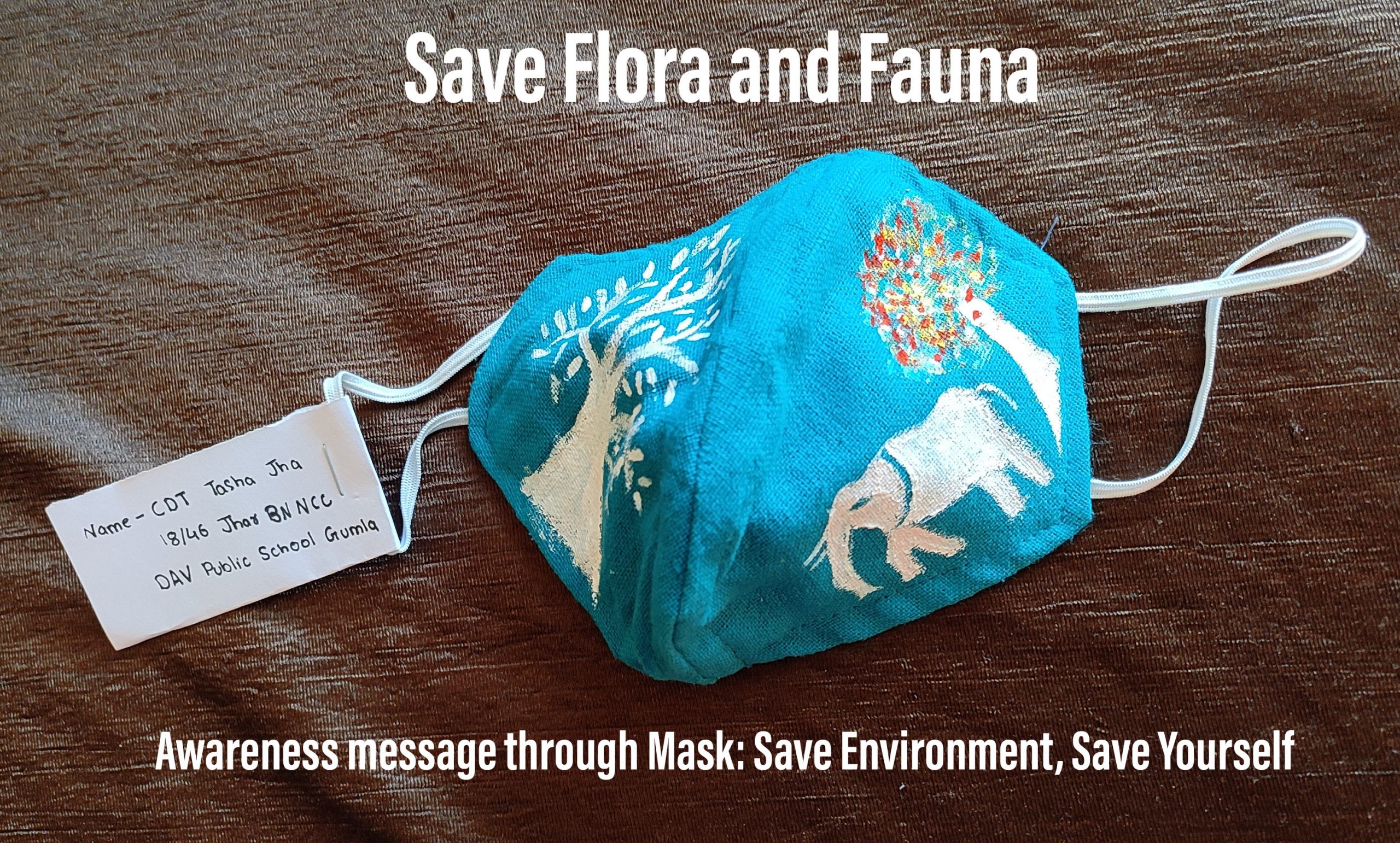 Awareness on World Environment Day through Painting on Mask – India NCC