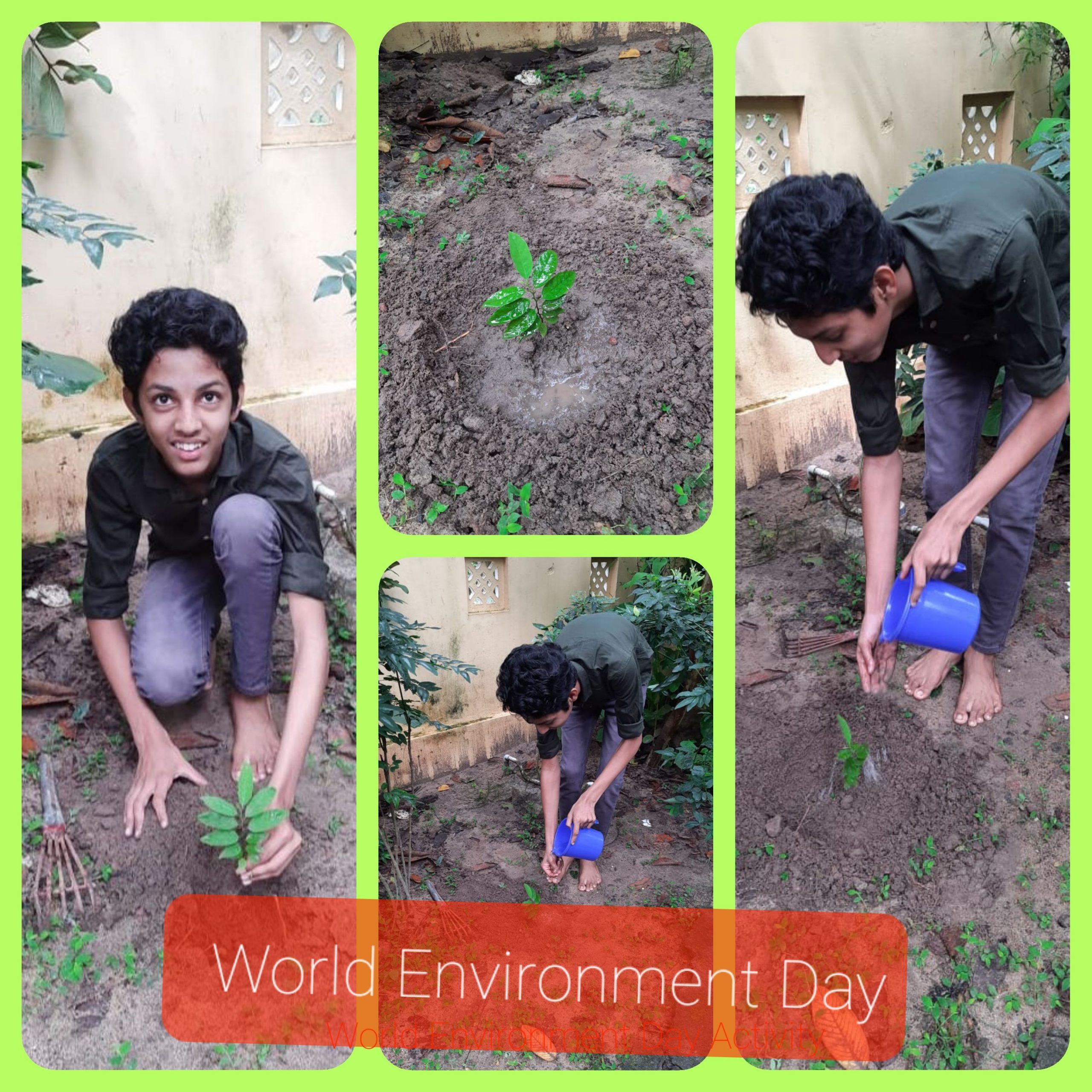 World Environment Day Activity – India NCC