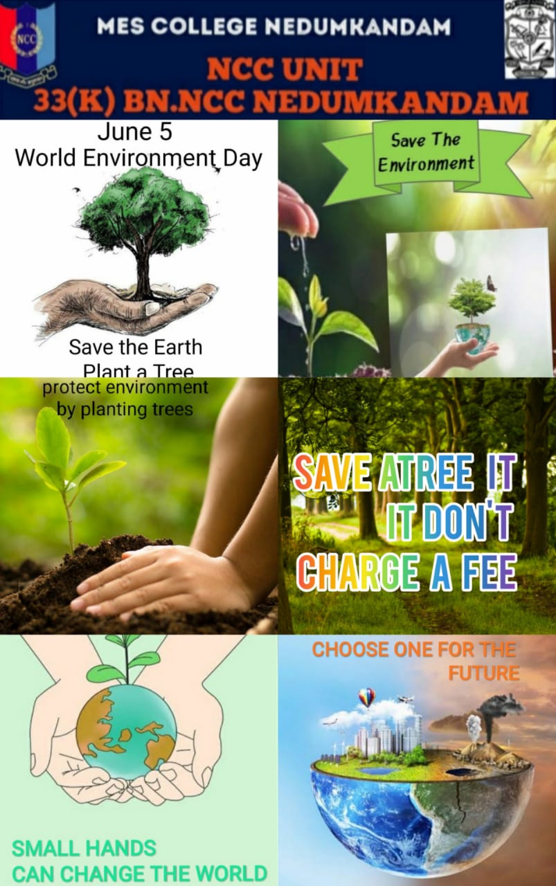 Environment day – India NCC