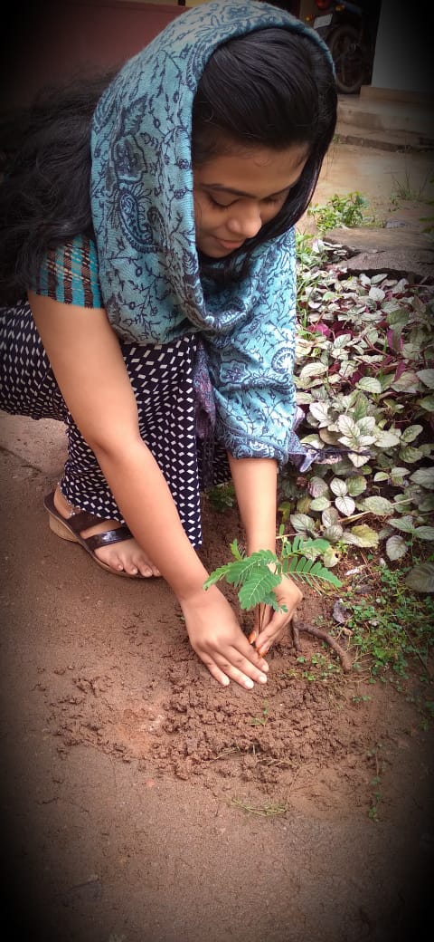 Tree planting – India NCC