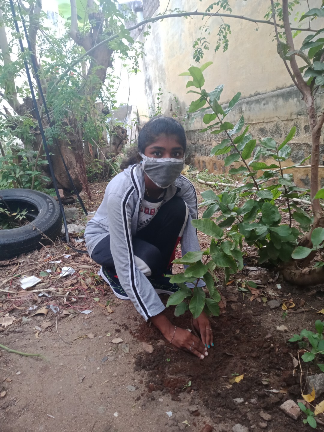 PLANTING TREES – India NCC