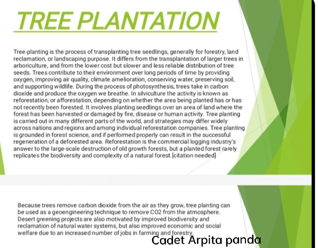 Tree plantation – India NCC