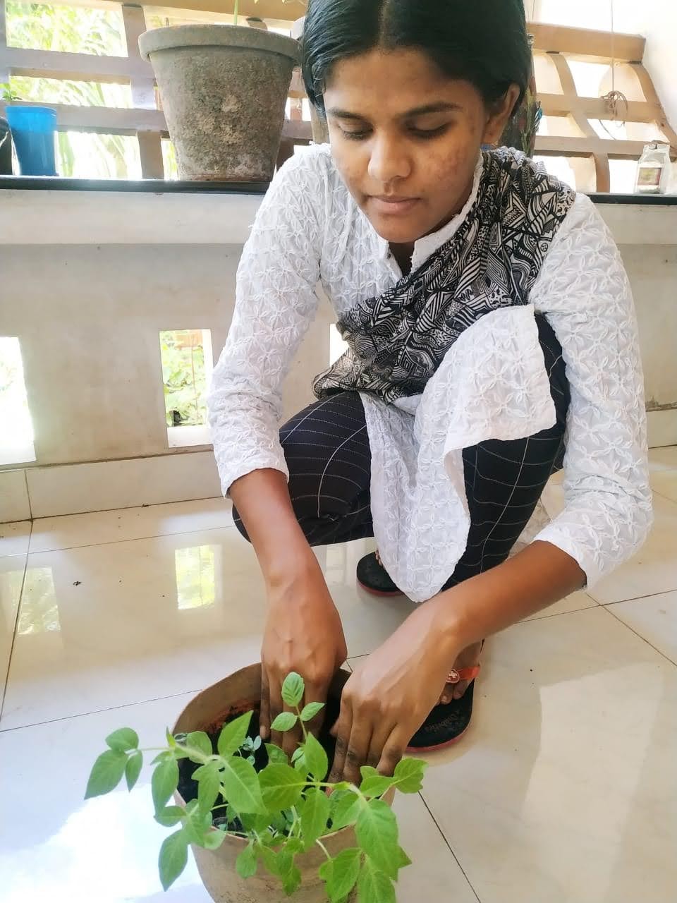 Planting the sapling – India NCC
