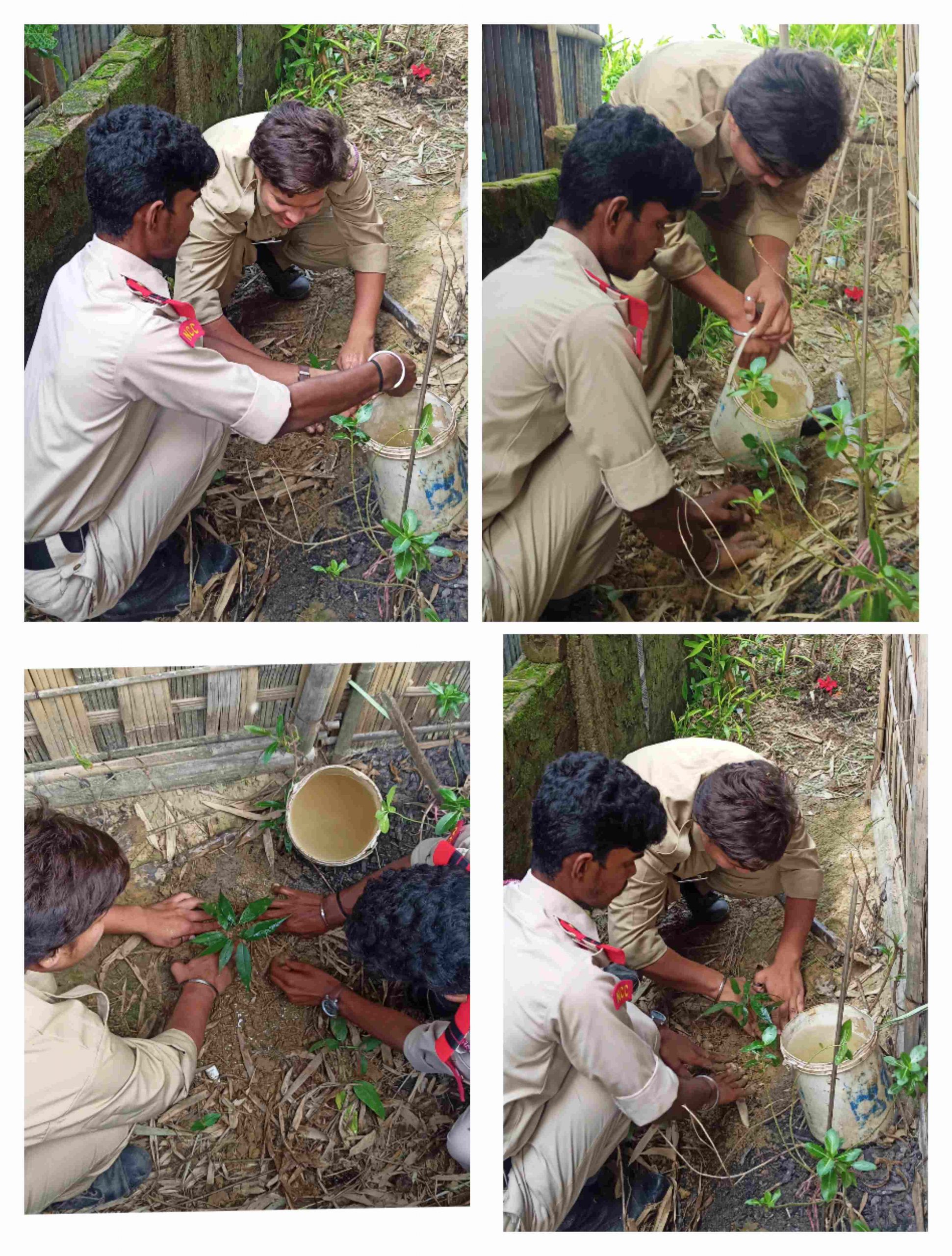 Tree plantation – India NCC