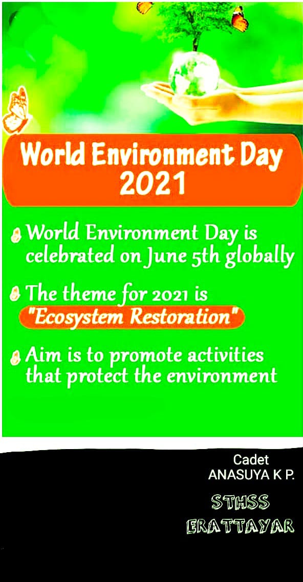 Environment day – India NCC