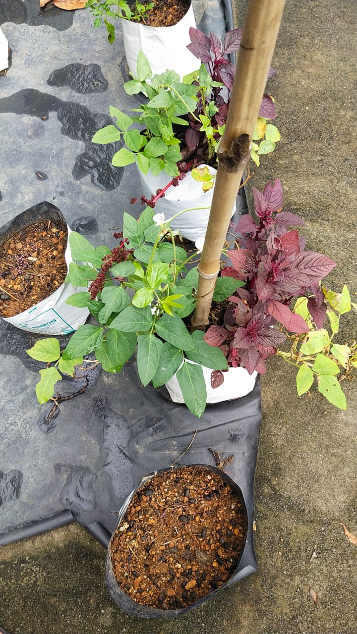 ARDRAM PROGRAM – India NCC