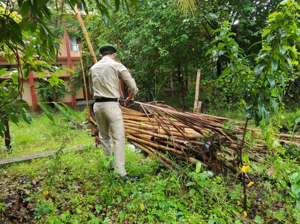 Tree plantation – India NCC