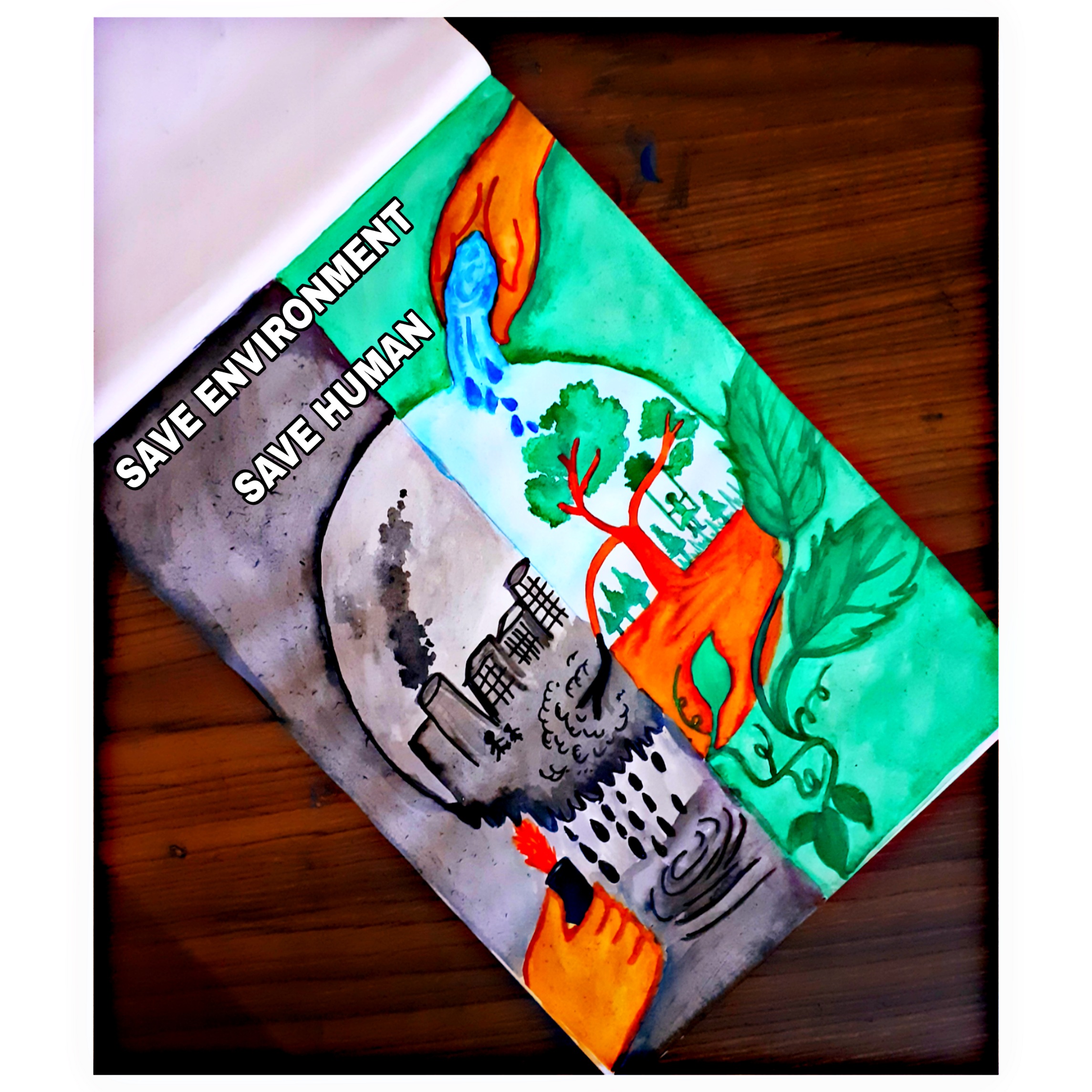 World environment day – India NCC